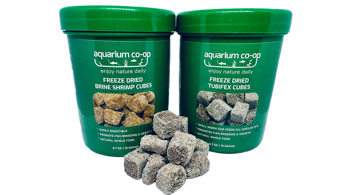 The Benefits of Freeze Dried Fish Food – Steenfott Aquatics