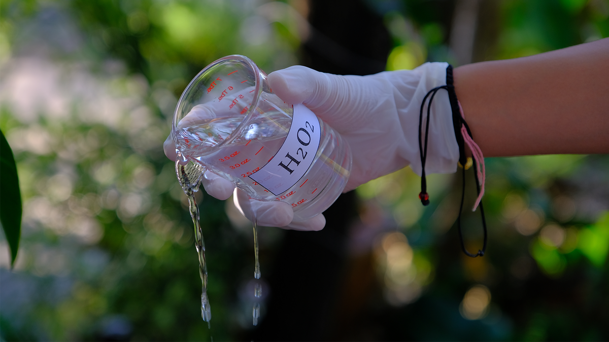 The Use of Hydrogen Peroxide in Controlling Algae in Aquariums: Mechan ...